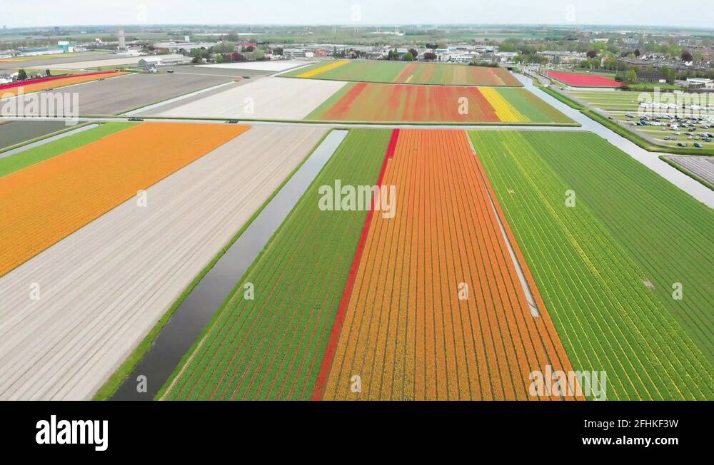 Keukenhof gardens aerial Stock Videos & Footage - HD and 4K Video Clips ...