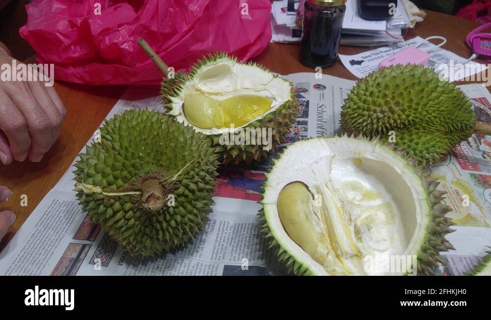 Durián Stock Videos & Footage - HD and 4K Video Clips - Alamy