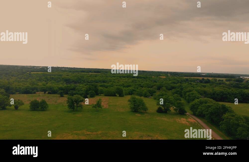 Clearing in trees Stock Videos & Footage - HD and 4K Video Clips - Alamy