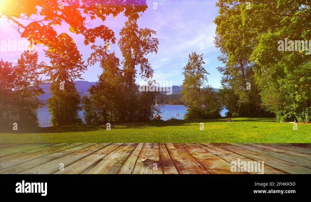 Park Field Table Background, Sunlight Flare Green Picnic Wood Park ...