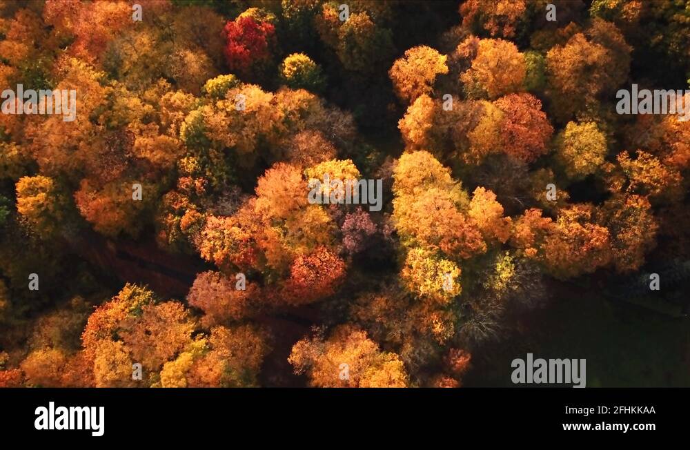 Pastel warm tone color palette Stock Videos & Footage - HD and 4K Video ...