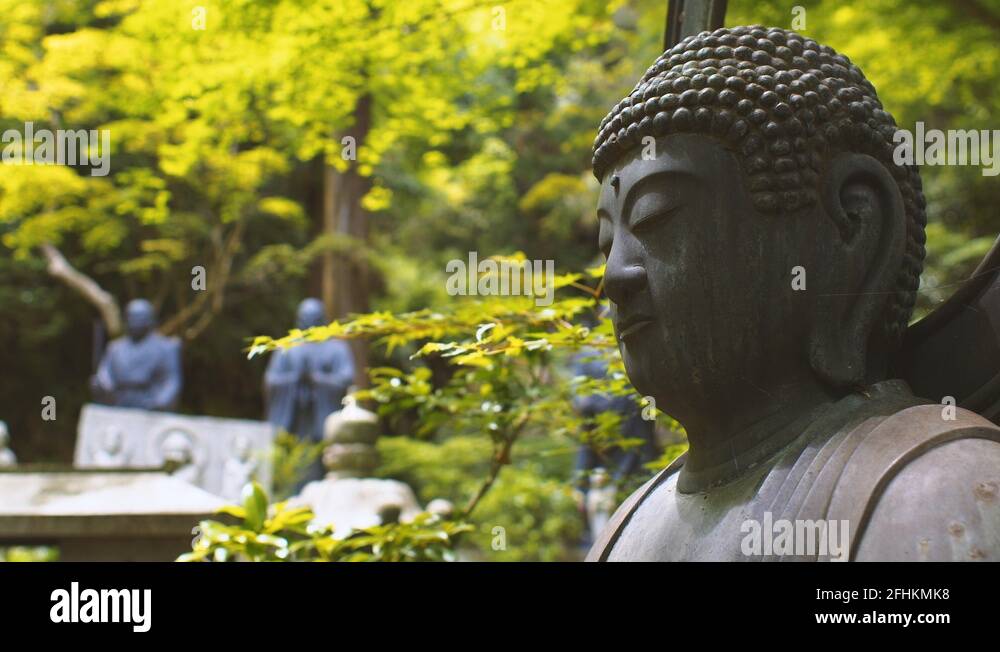 Buddha in forest Stock Videos & Footage - HD and 4K Video Clips - Alamy