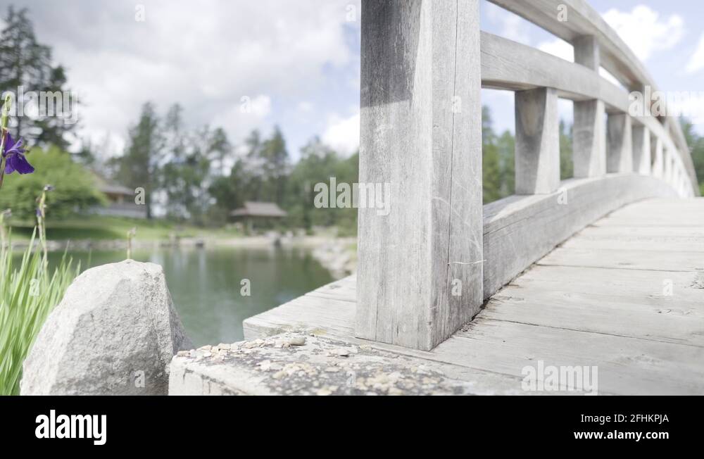 Bridge a in botanical garden Stock Videos & Footage - HD and 4K Video ...