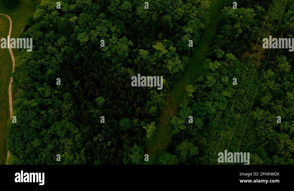 Odd growth Stock Videos & Footage - HD and 4K Video Clips - Alamy