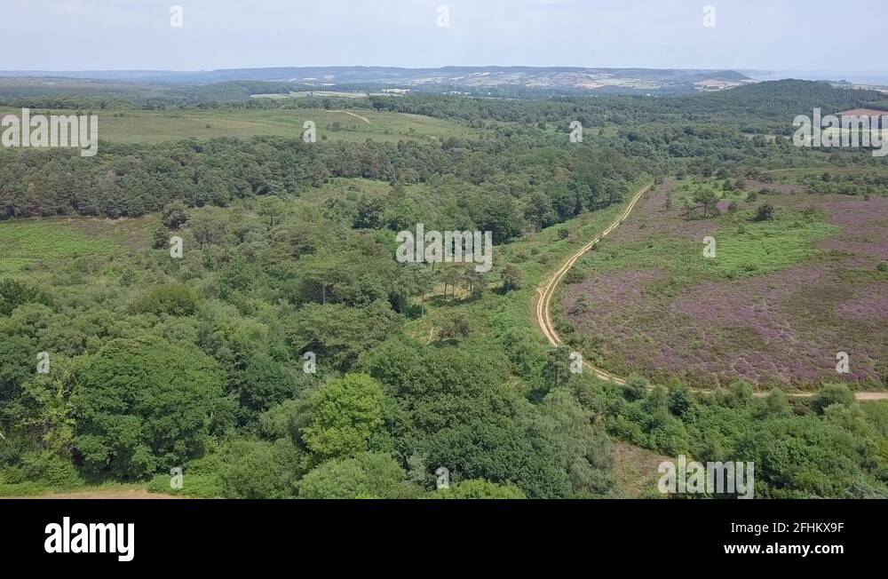 Devon coastal scenery Stock Videos & Footage - HD and 4K Video Clips ...