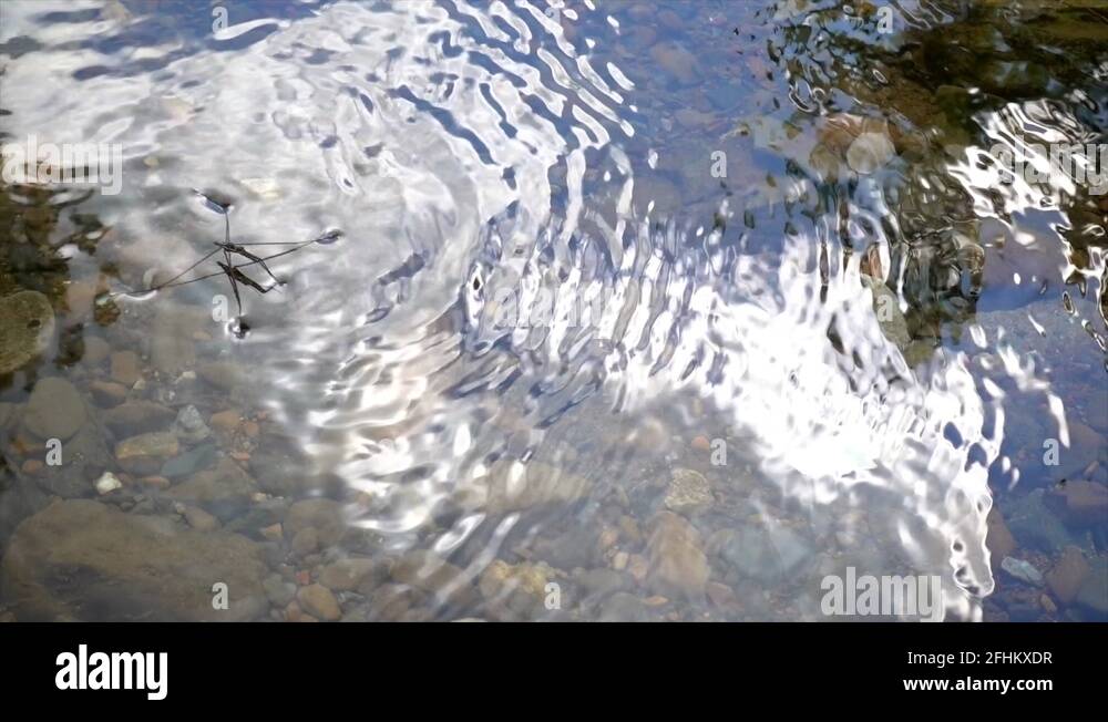 Lapping movement Stock Videos & Footage - HD and 4K Video Clips - Alamy