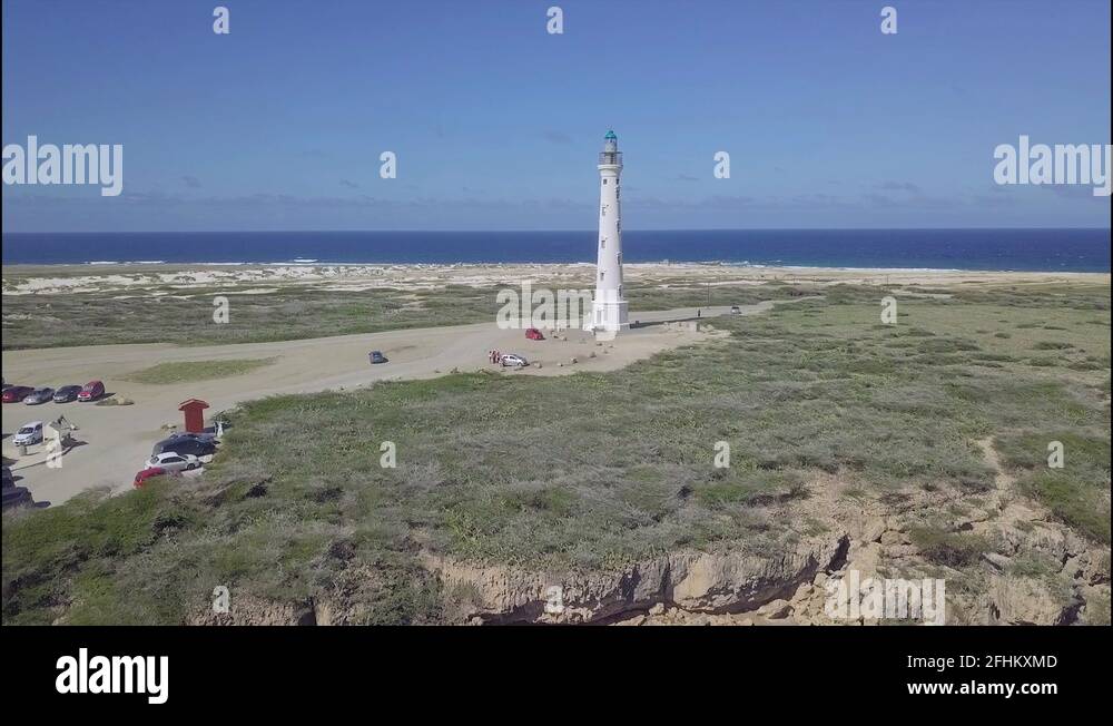 Fauna aruba Stock Videos & Footage - HD and 4K Video Clips - Alamy