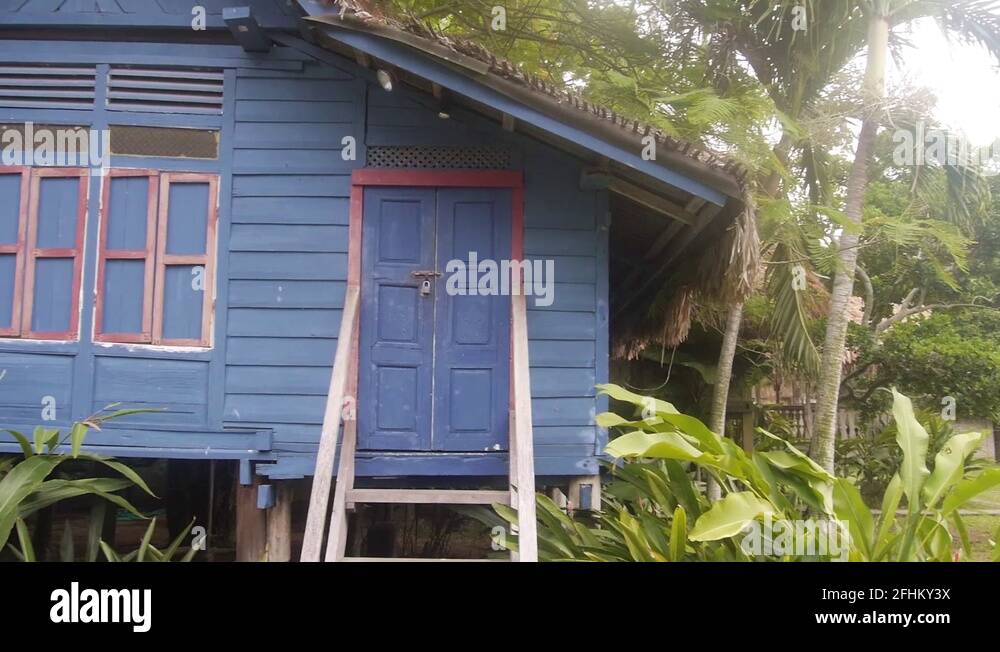 Flora house Stock Videos & Footage - HD and 4K Video Clips - Alamy