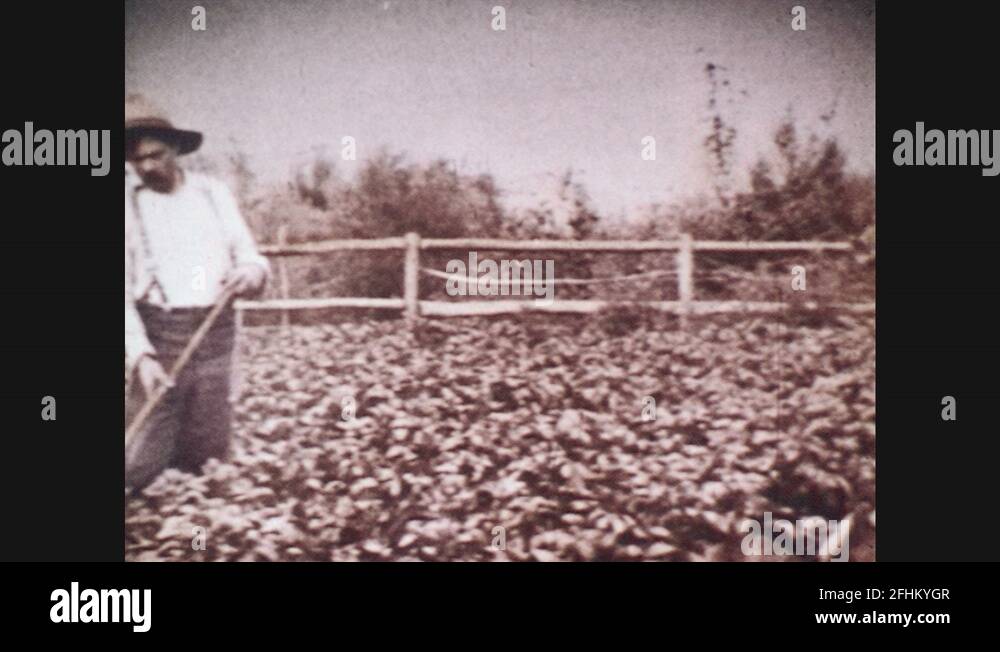 1970s: UNITED STATES: men work in field. Photos of men working. Photos ...