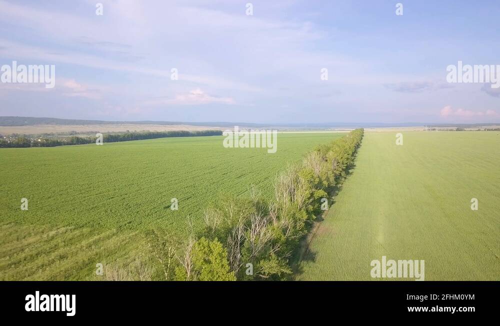 Parallel lines nature Stock Videos & Footage - HD and 4K Video Clips ...