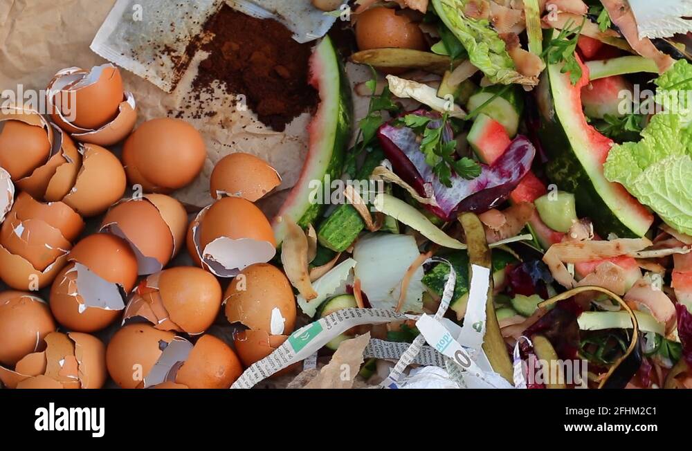 Compost eggshells Stock Videos & Footage - HD and 4K Video Clips - Alamy