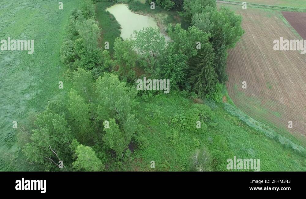 Swampy road Stock Videos & Footage - HD and 4K Video Clips - Alamy