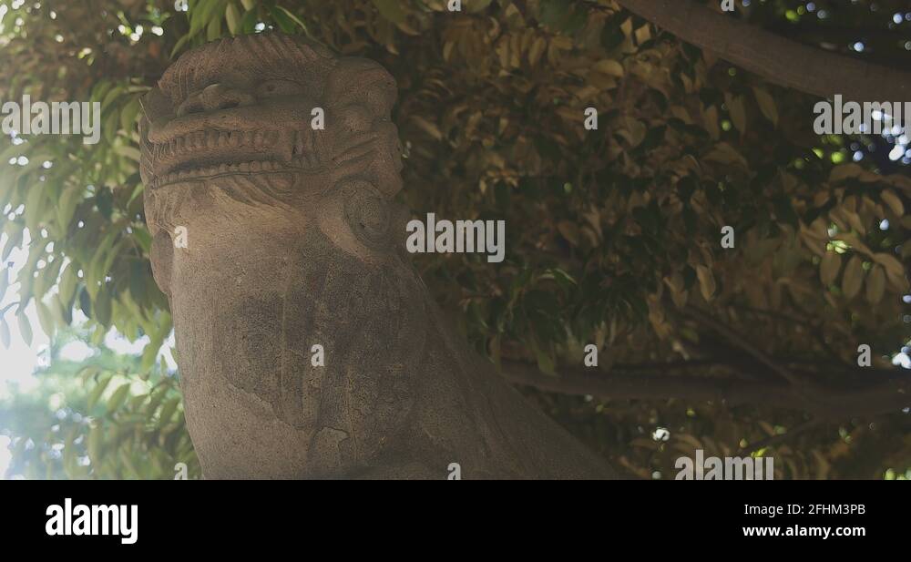 Guardian tree Stock Videos & Footage - HD and 4K Video Clips - Alamy