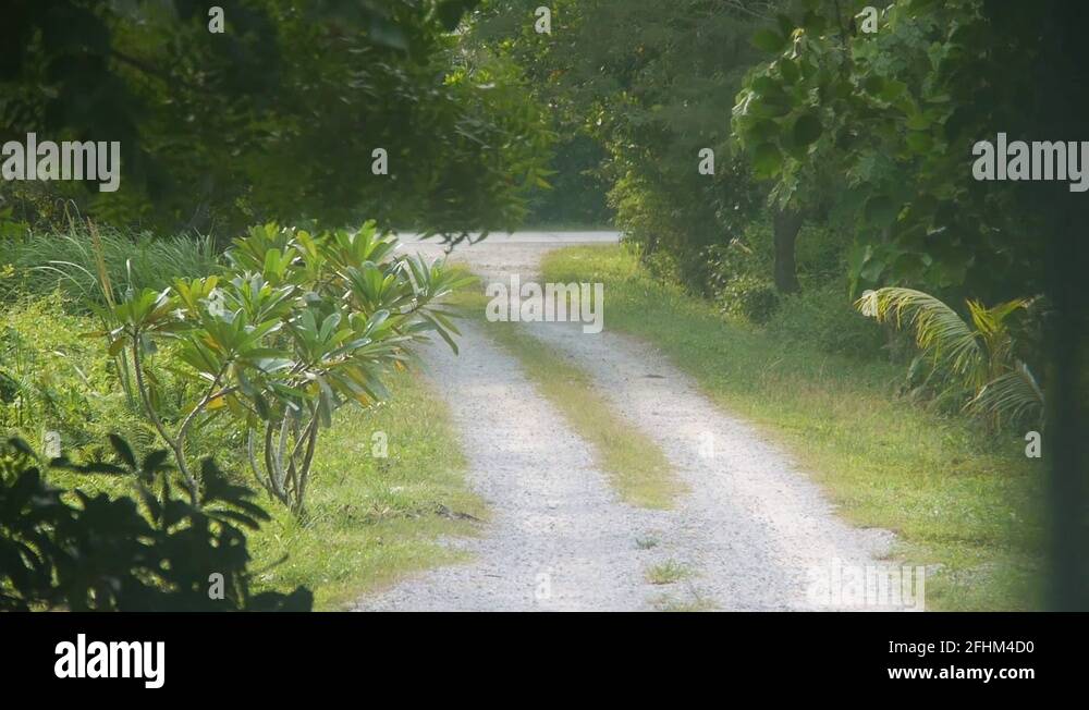 Left right of way right of way Stock Videos & Footage - HD and 4K Video ...