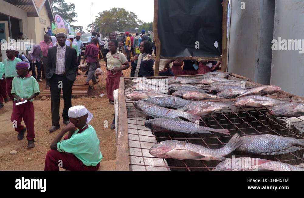 Africa fish farming Stock Videos & Footage - HD and 4K Video Clips - Alamy