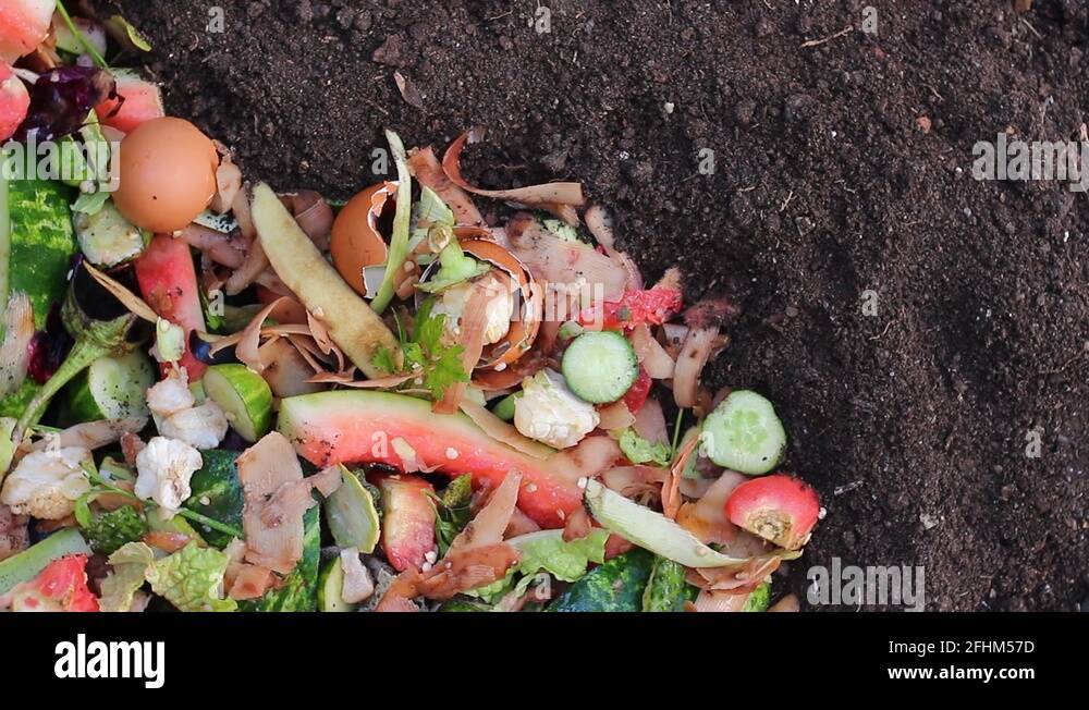 Compost food soil Stock Videos & Footage - HD and 4K Video Clips - Alamy