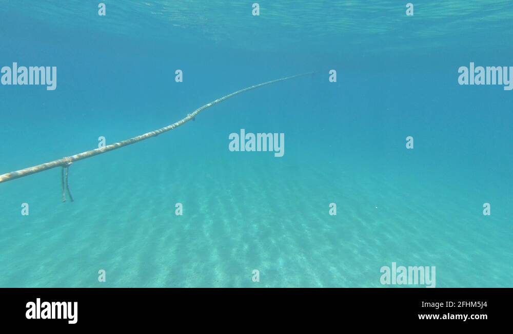 Underwater sea cable Stock Videos & Footage - HD and 4K Video Clips - Alamy