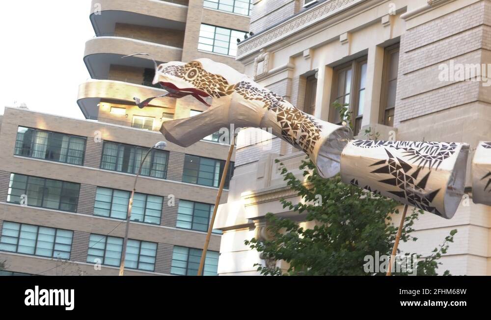 Village snake Stock Videos & Footage - HD and 4K Video Clips - Alamy