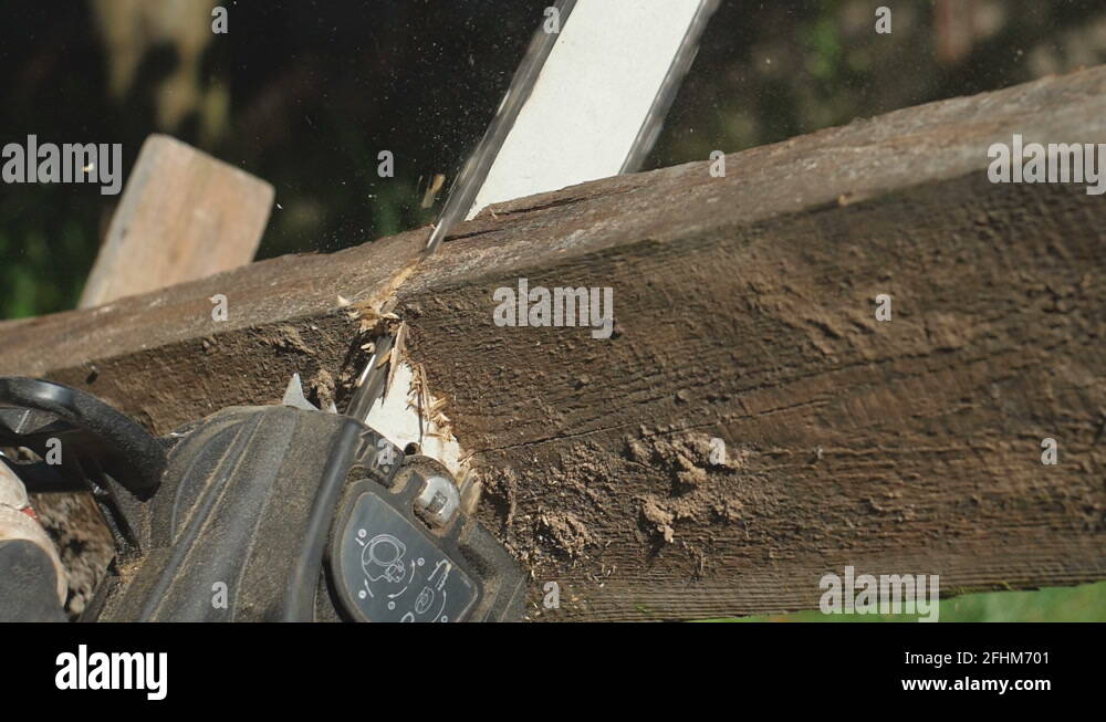 From tree to plank Stock Videos & Footage - HD and 4K Video Clips - Alamy