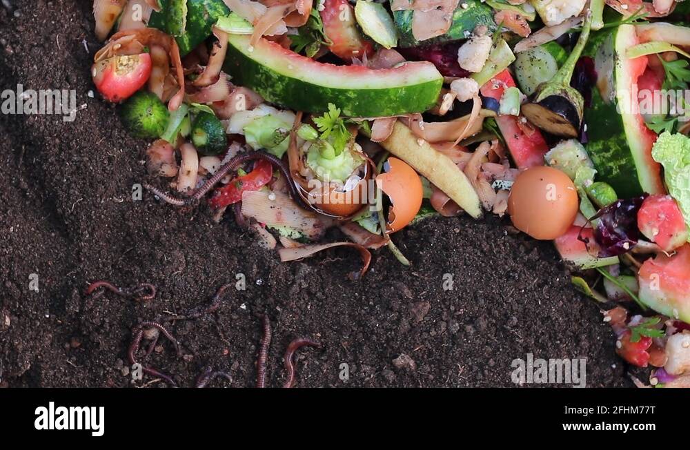 Recycle recycling earthworms Stock Videos & Footage - HD and 4K Video ...