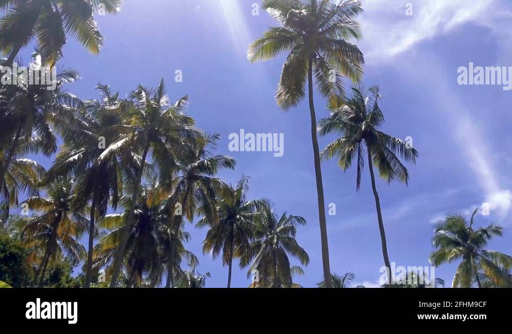 Sky st lucia Stock Videos & Footage - HD and 4K Video Clips - Alamy