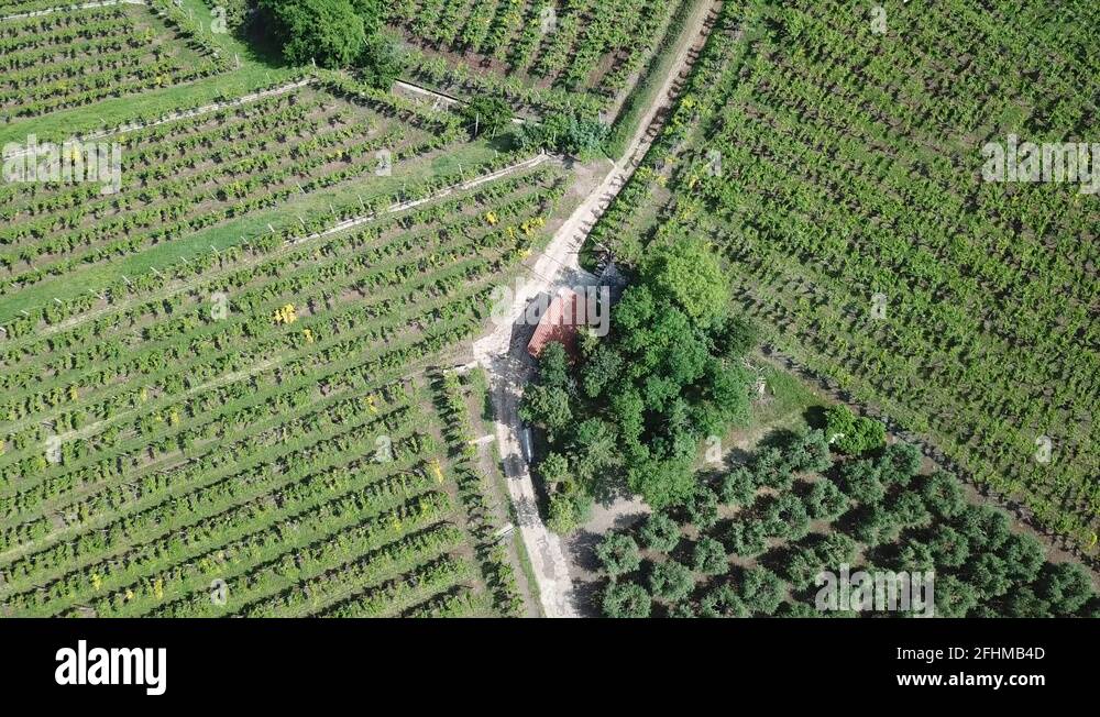 Top vertical view Stock Videos & Footage - HD and 4K Video Clips - Alamy