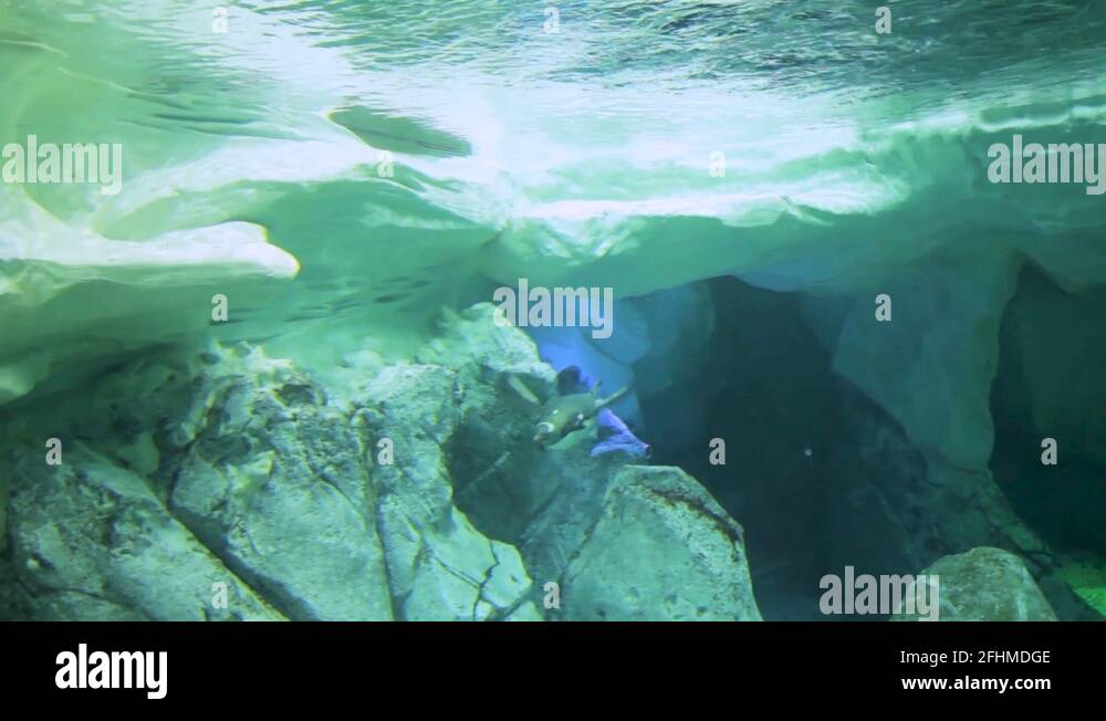 Emperor penguin swimming underwater Stock Videos & Footage - HD and 4K ...