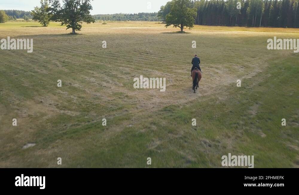 Man had drone field Stock Videos & Footage - HD and 4K Video Clips - Alamy