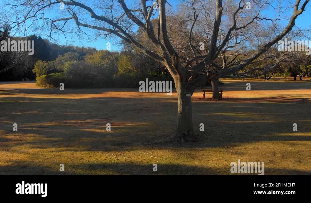 Shed tree Stock Videos & Footage - HD and 4K Video Clips - Alamy