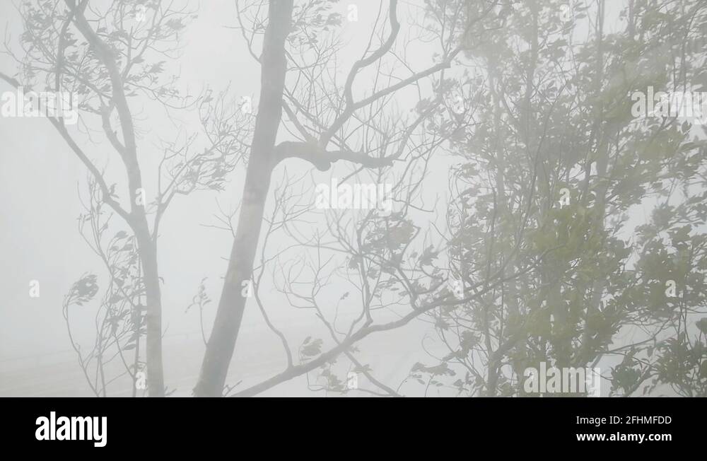 Unsettling setting Stock Videos & Footage - HD and 4K Video Clips - Alamy