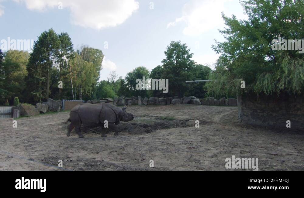 Warsaw zoo Stock Videos & Footage - HD and 4K Video Clips - Alamy