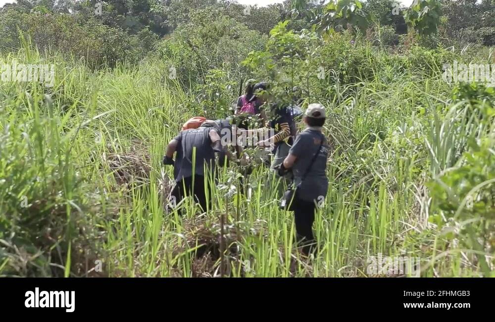 People planting tree Stock Videos & Footage - HD and 4K Video Clips - Alamy