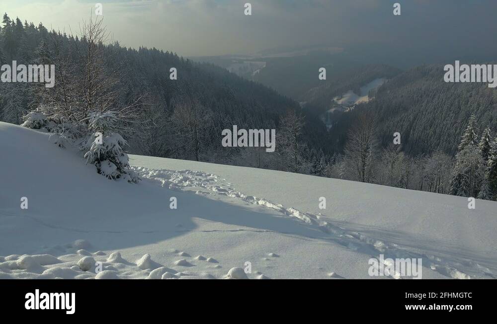 Schwarzwald scenery Stock Videos & Footage - HD and 4K Video Clips - Alamy