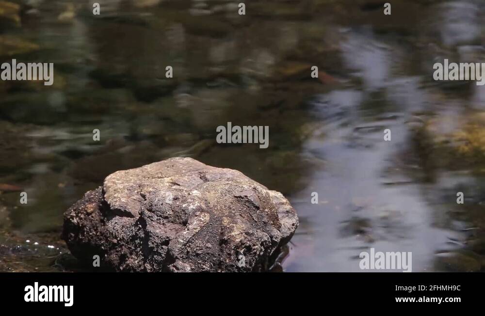 Rock in water ripples Stock Videos & Footage - HD and 4K Video Clips ...