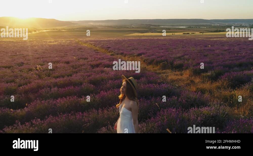 Lavender walk Stock Videos & Footage - HD and 4K Video Clips - Alamy