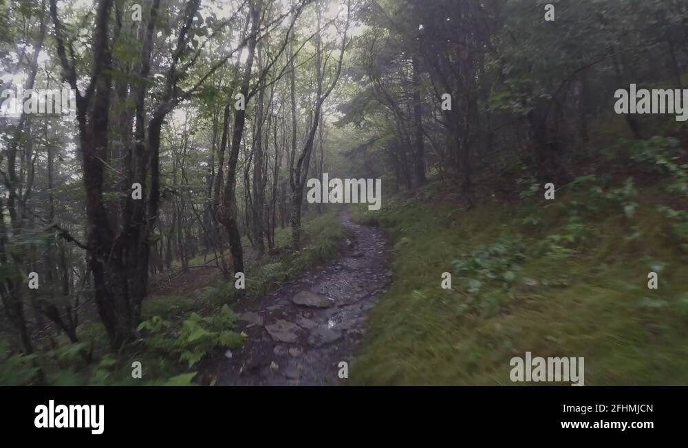 Appalachian trail fog Stock Videos & Footage - HD and 4K Video Clips ...