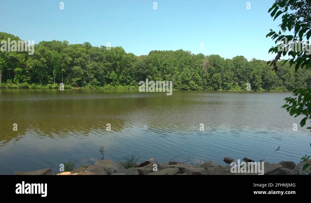 Lake royal Stock Videos & Footage - HD and 4K Video Clips - Alamy