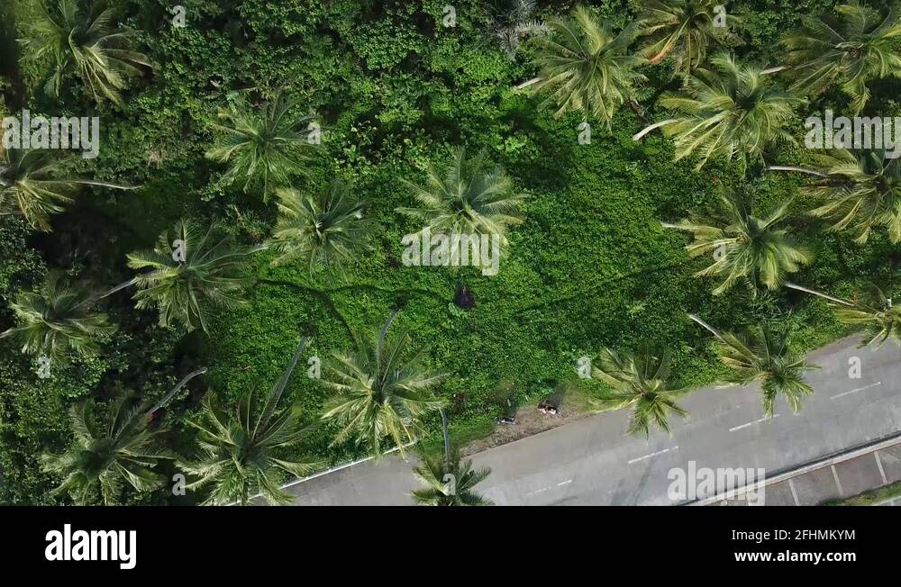 AERIAL SHOT: Puro and Lamba, Legazpi City, Philippines. Views of ...