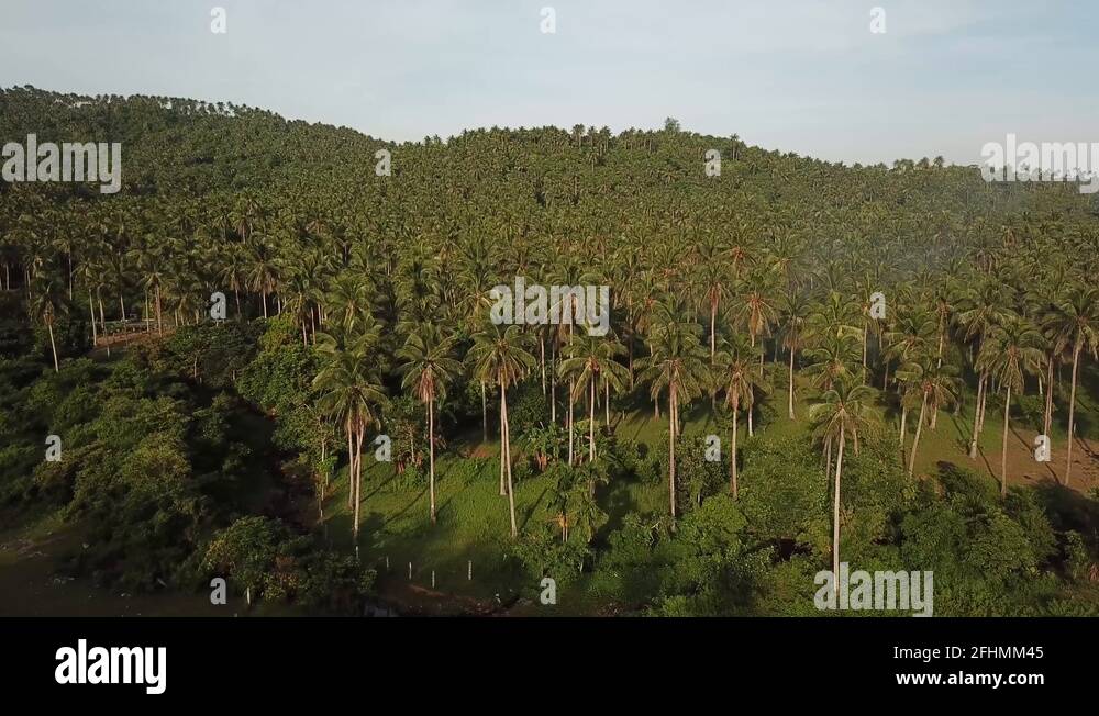 AERIAL SHOT: Puro and Lamba, Legazpi City, Philippines. Views of ...