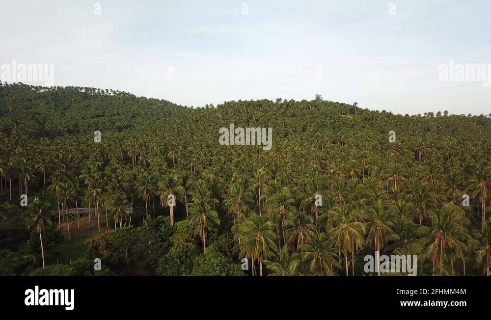 AERIAL SHOT: Puro and Lamba, Legazpi City, Philippines. Views of ...