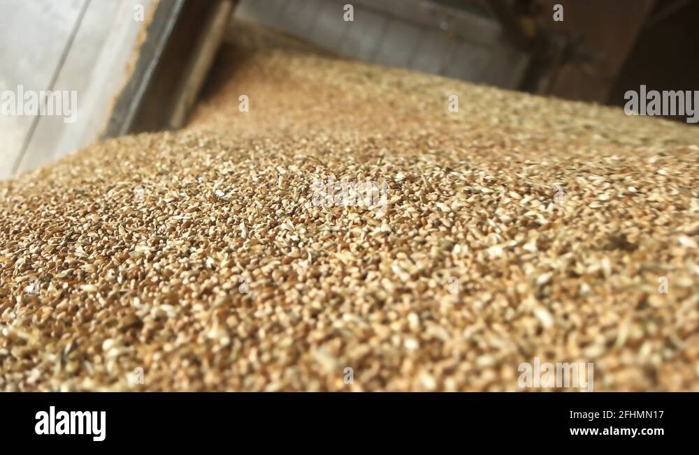 Falling grain Stock Videos & Footage - HD and 4K Video Clips - Alamy