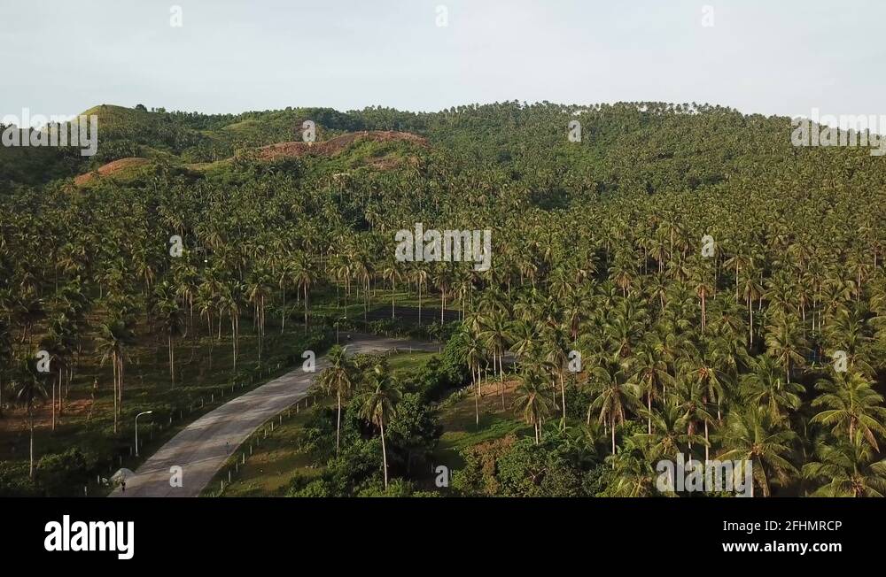AERIAL SHOT: Puro and Lamba, Legazpi City, Philippines. Views of ...