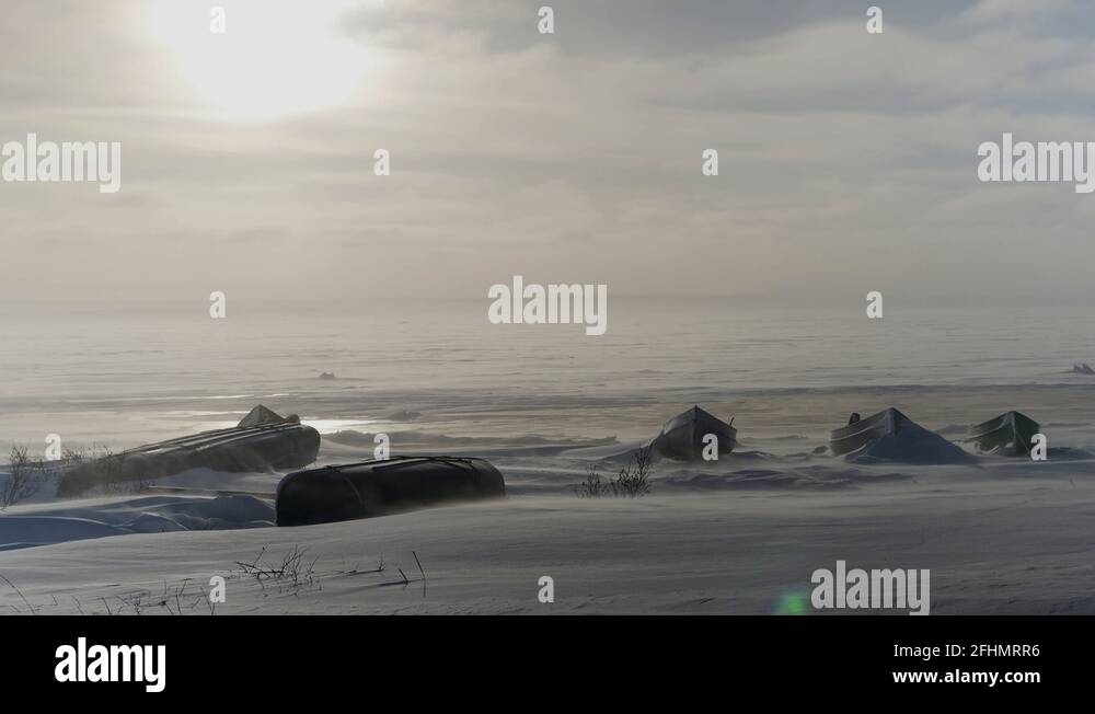 Freighter canoe Stock Videos & Footage - HD and 4K Video Clips - Alamy