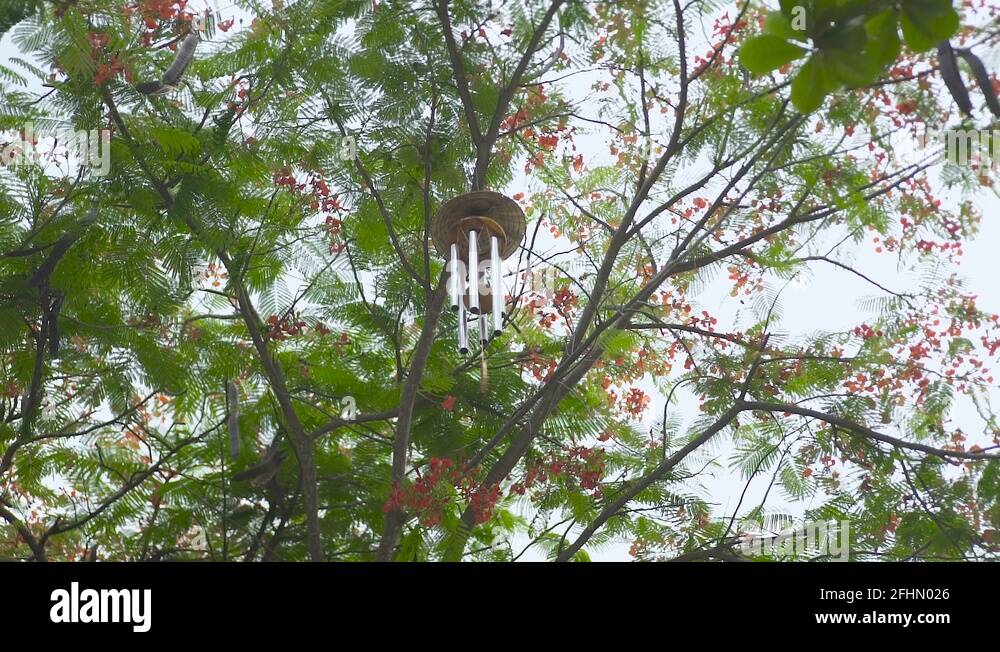 Wind chime tree Stock Videos & Footage - HD and 4K Video Clips - Alamy