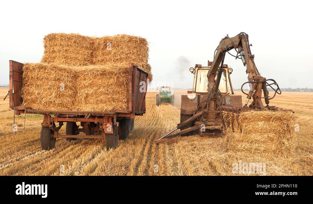 Hay blocks Stock Videos & Footage - HD and 4K Video Clips - Alamy