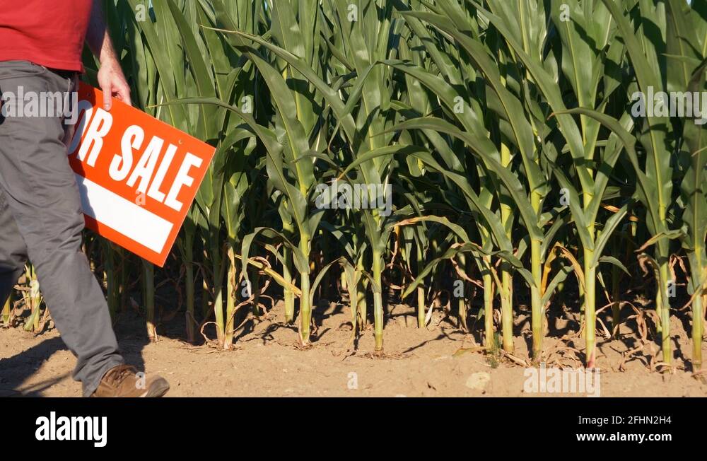 Land for sale sign lawn Stock Videos & Footage - HD and 4K Video Clips ...