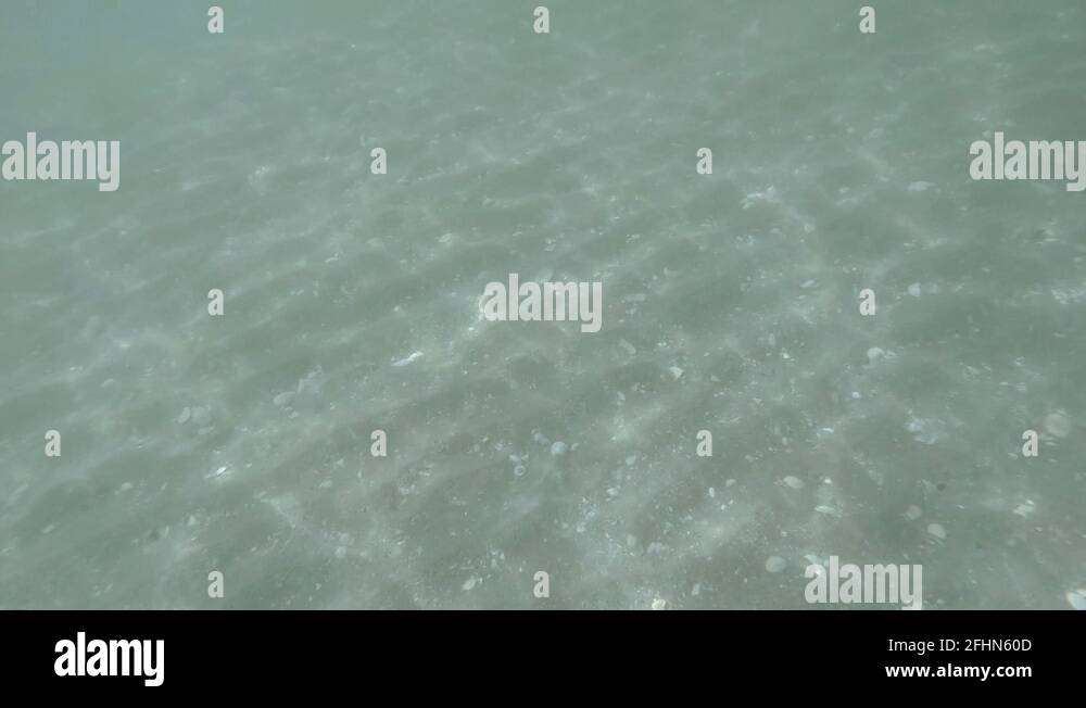 Water bead Stock Videos & Footage - HD and 4K Video Clips - Alamy