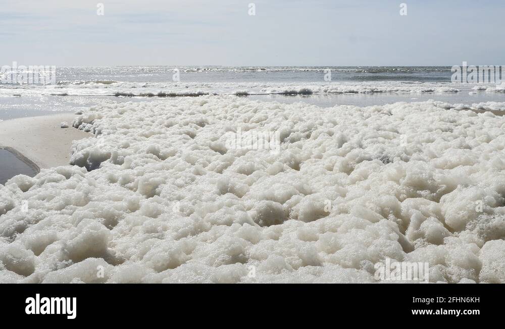 Algae foam Stock Videos & Footage - HD and 4K Video Clips - Alamy