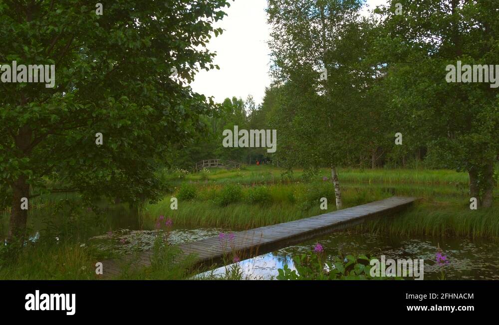 Bridge over pond Stock Videos & Footage - HD and 4K Video Clips - Alamy