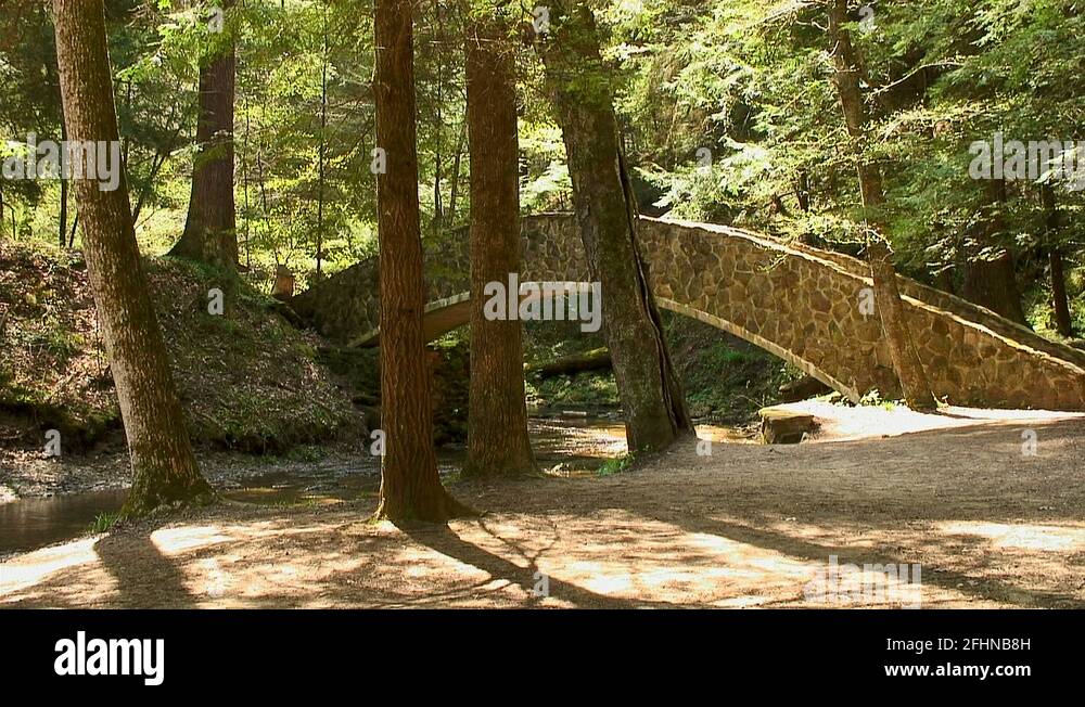 Bridge with trees Stock Videos & Footage - HD and 4K Video Clips - Alamy